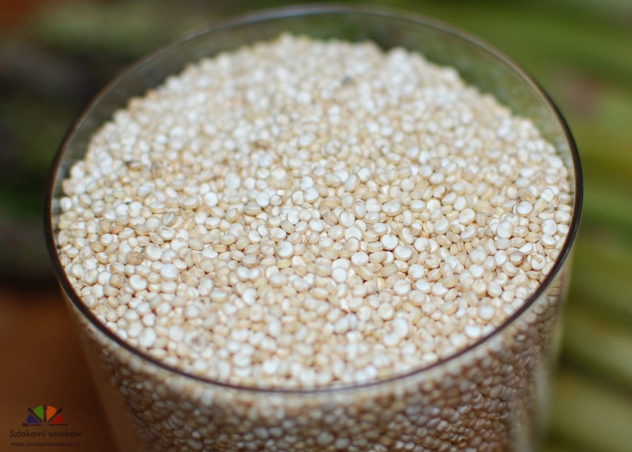 Komosa ryżowa (quinoa) – Co to jest i jak ją gotować? – Szlakami Smaków